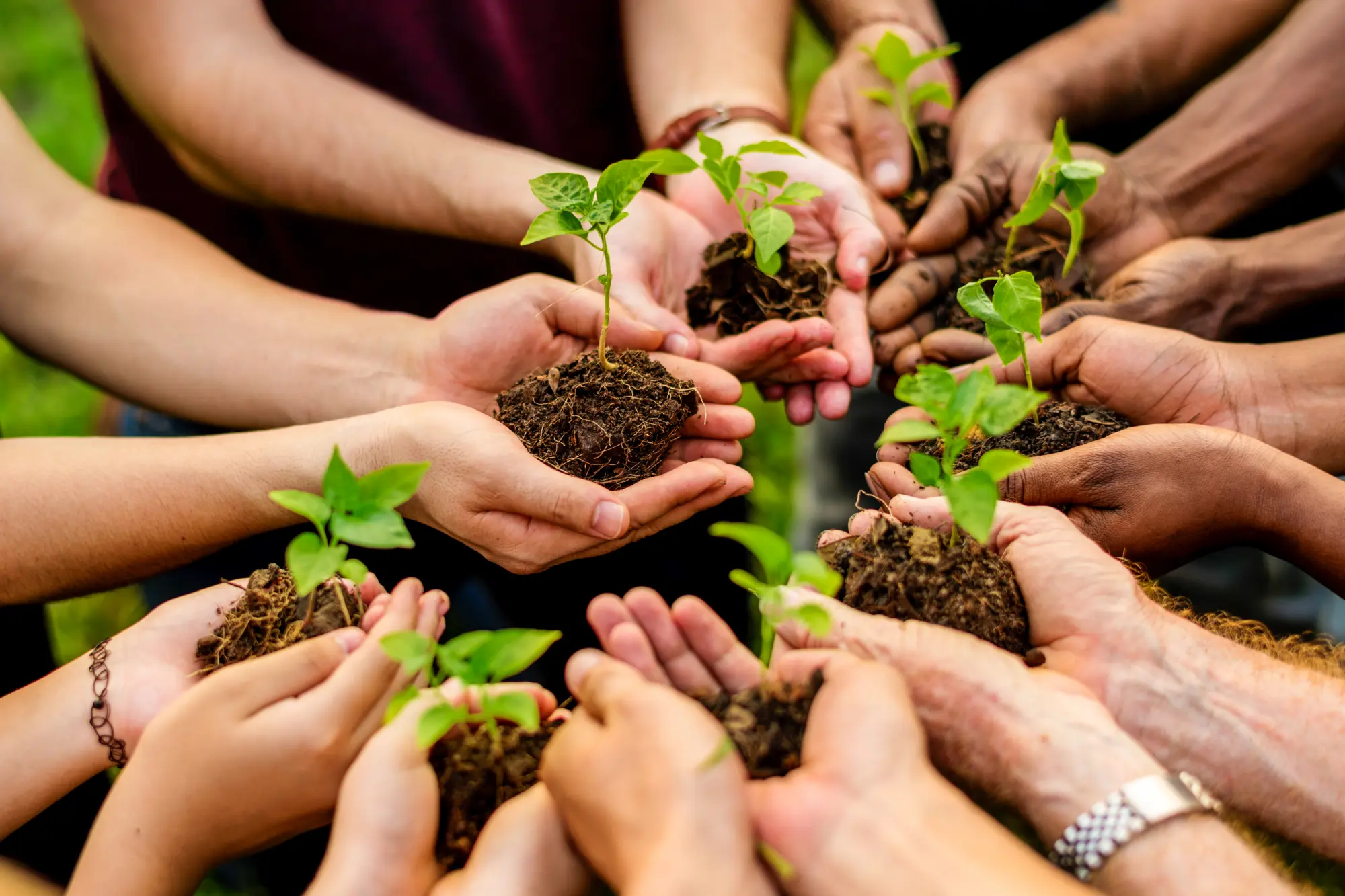Environmental Sustainability Solutions | Haycarb PLC
